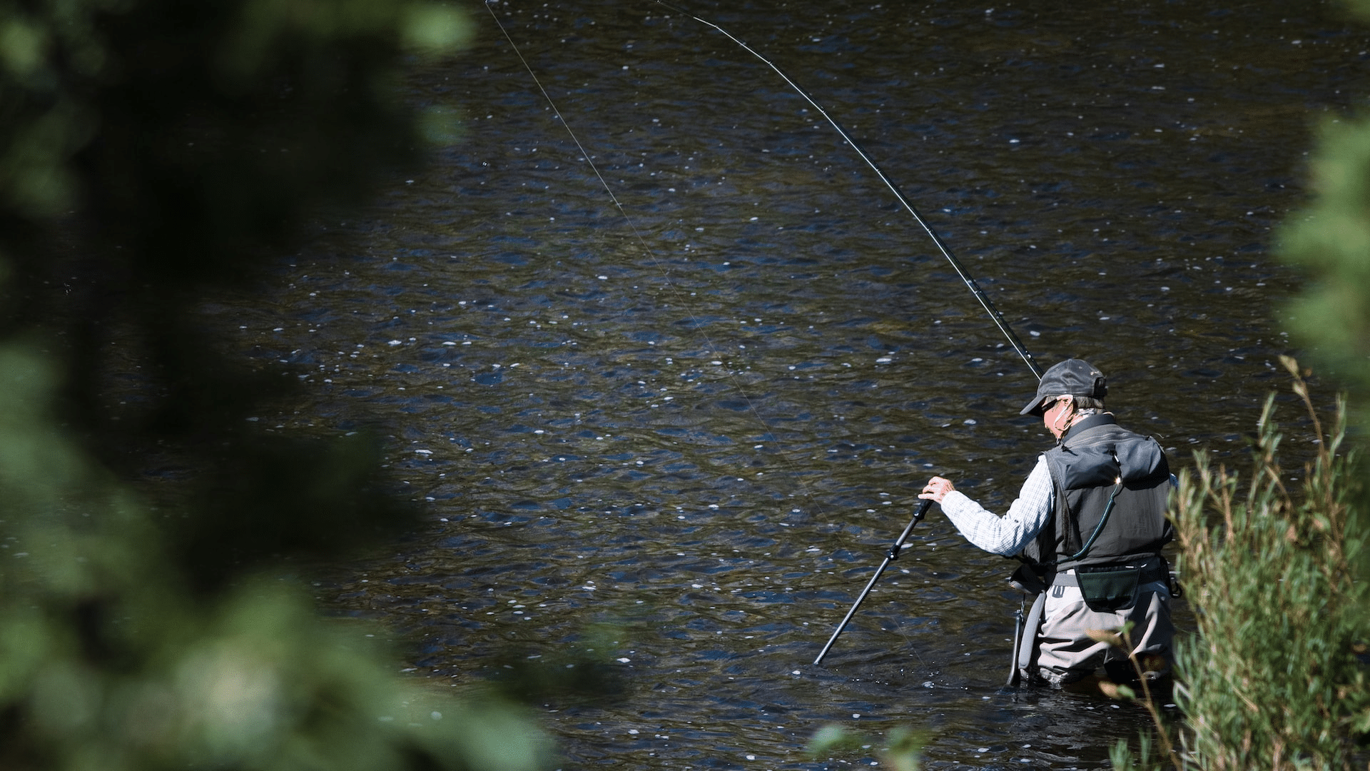Guide To Fly Fishing For Beginners: From Gear To Knot Tying
